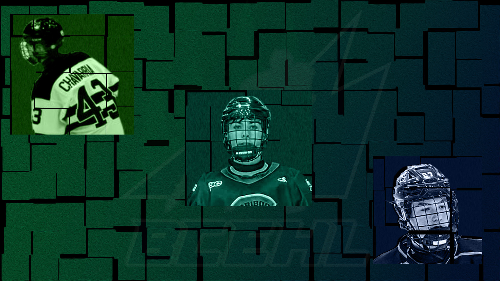 Elite Prospects - Hockey Players, Stats and Transactions